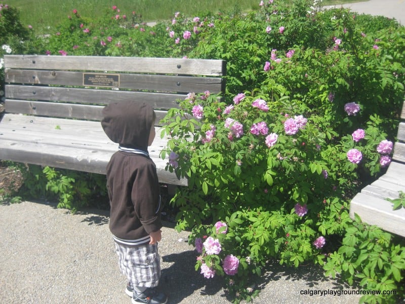 Elliston Park - calgaryplaygroundreview.com