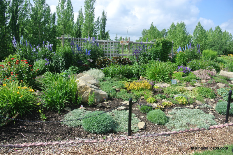 Botanical Gardens of Silver Springs - calgaryplaygroundreview.com