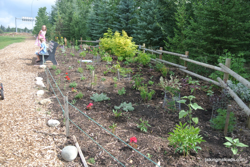 Botanical Gardens of Silver Springs - calgaryplaygroundreview.com