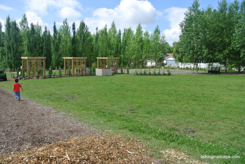 Botanical Gardens of Silver Springs - calgaryplaygroundreview.com