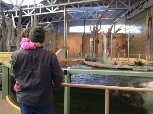 Visiting the Calgary Zoo - calgaryplaygroundreview.com