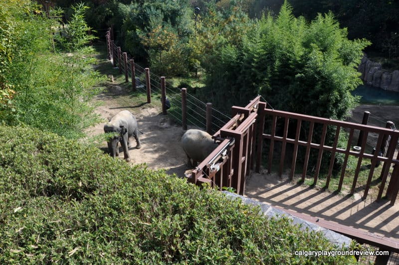 Smithsonian's National Zoo - Washington DC with Kids
