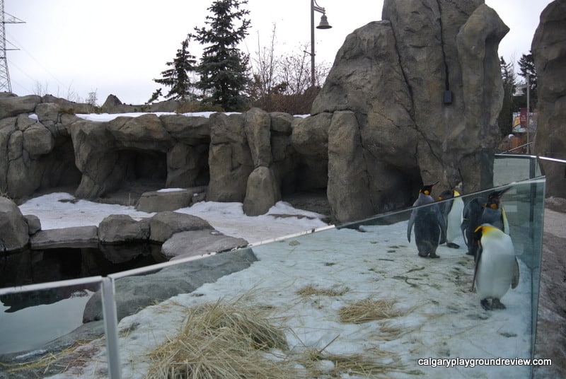 Visiting the Calgary Zoo - calgaryplaygroundreview.com
