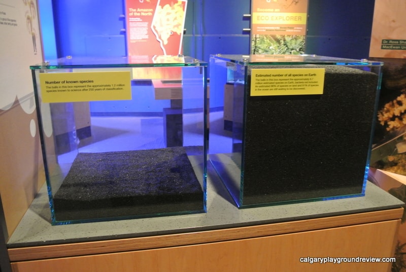 Telus World of Science - Edmonton Science Centre ...