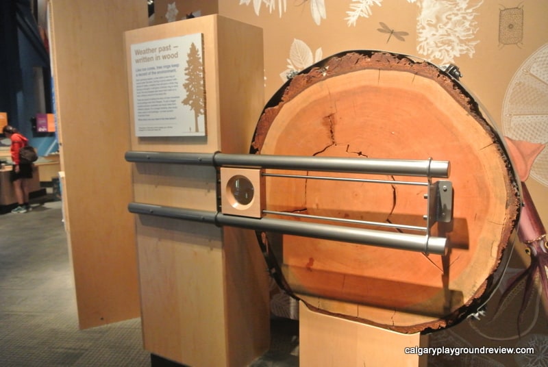 Telus World of Science - Edmonton Science Centre ...