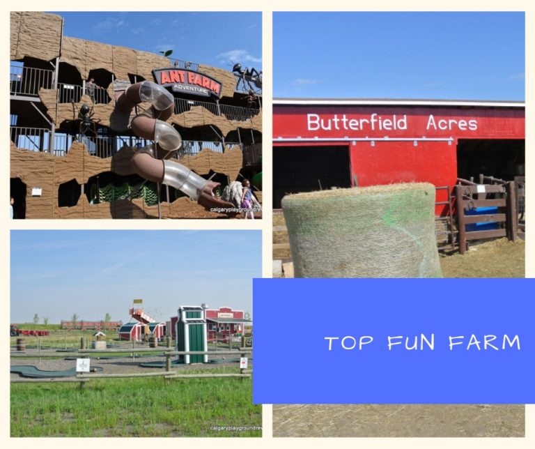 The Top Things to Do with Kids in Calgary - calgaryplaygroundreview.com