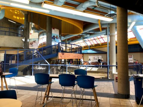 Village Square Leisure Centre Review - calgaryplaygroundreview.com