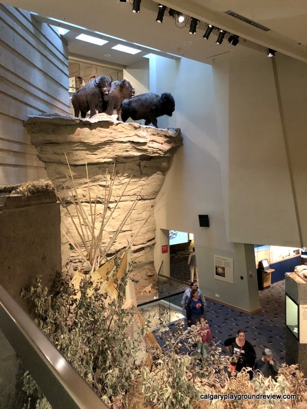 Head Smashed In Buffalo Jump Review - calgaryplaygroundreview.com
