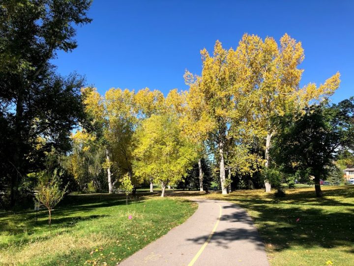Calgary Parks with Great Fall Leaves - calgaryplaygroundreview.com