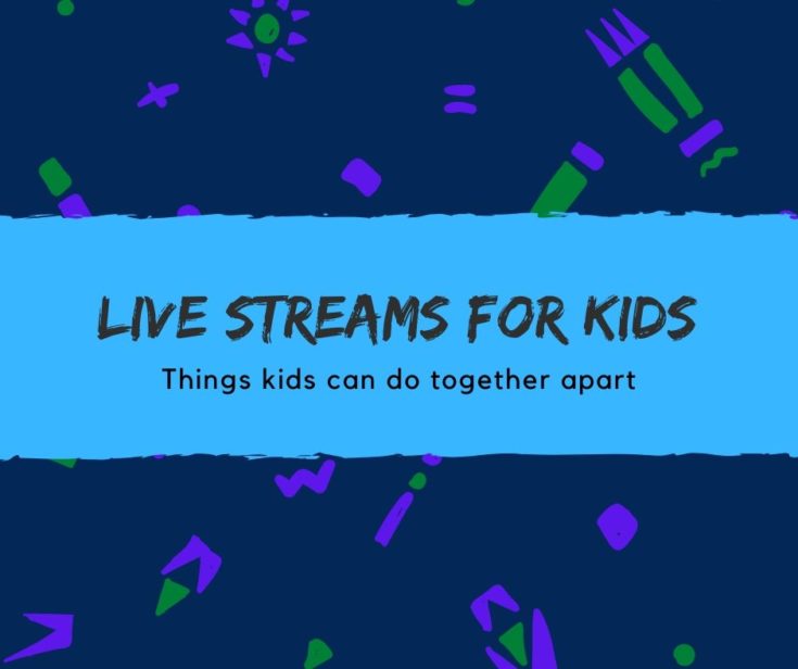 Fun Live Feeds for the Kids - calgaryplaygroundreview.com