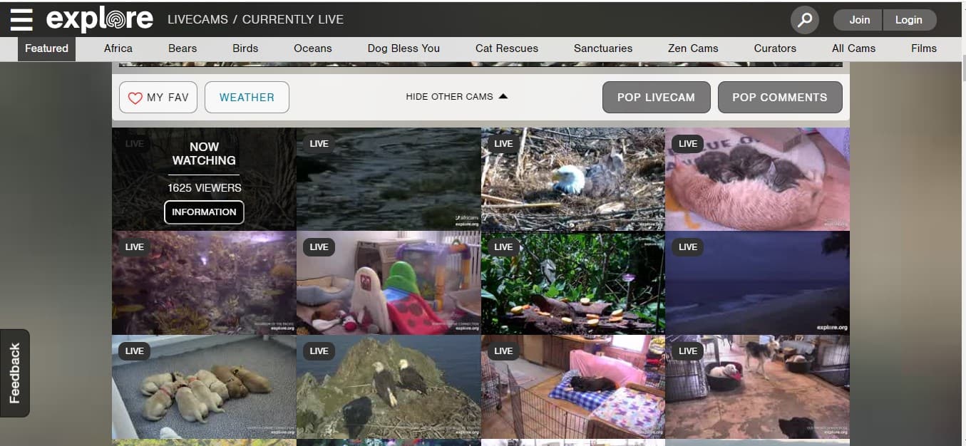 Virtual Field Trips - calgaryplaygroundreview.com